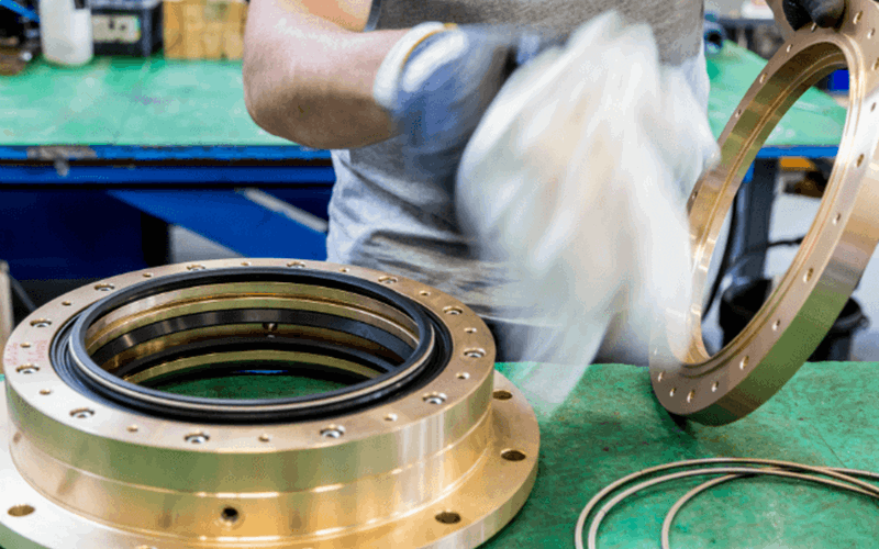 Rotary shaft seals