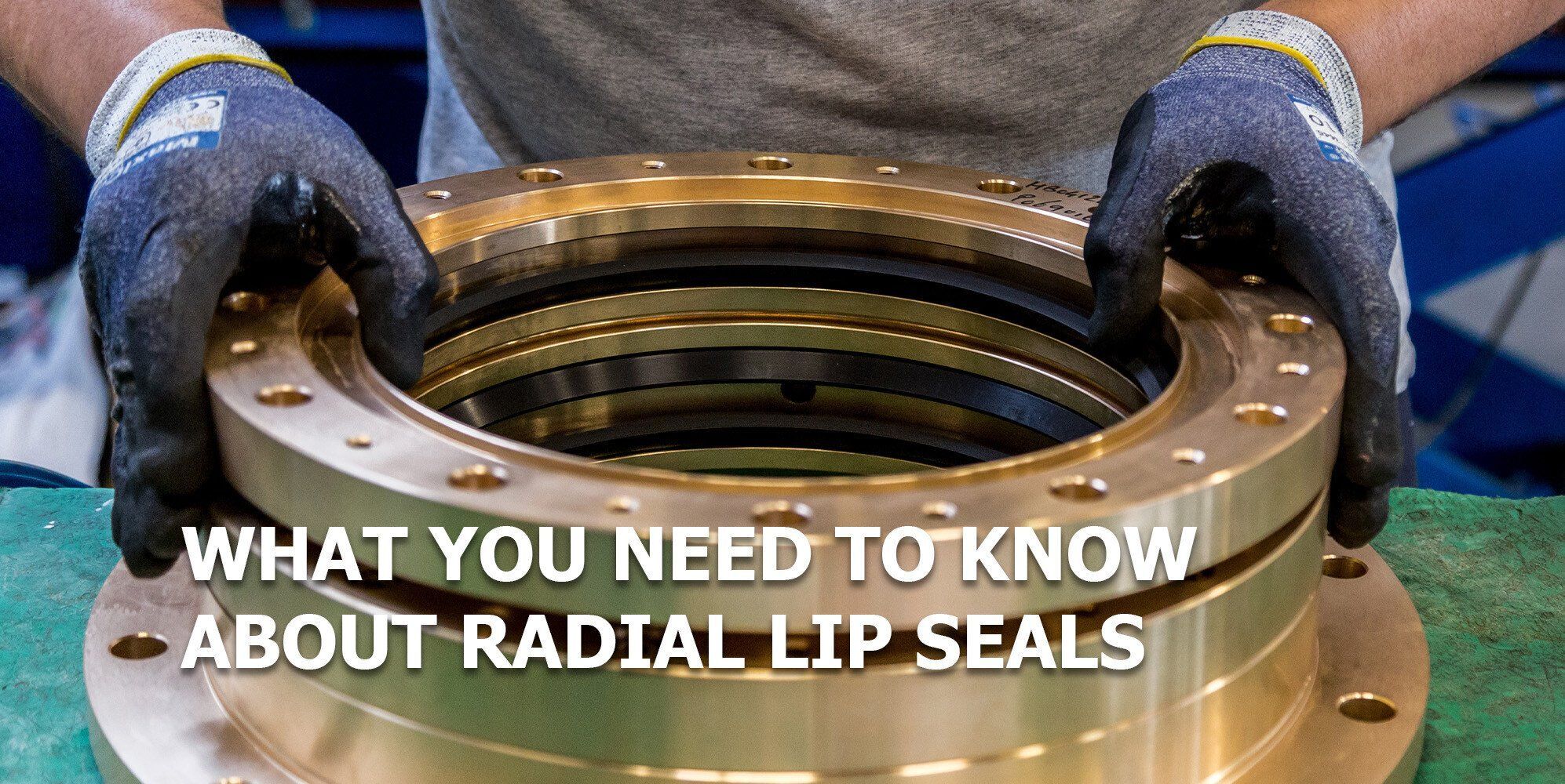 Lagersmit | What you need to know about radial lip seals